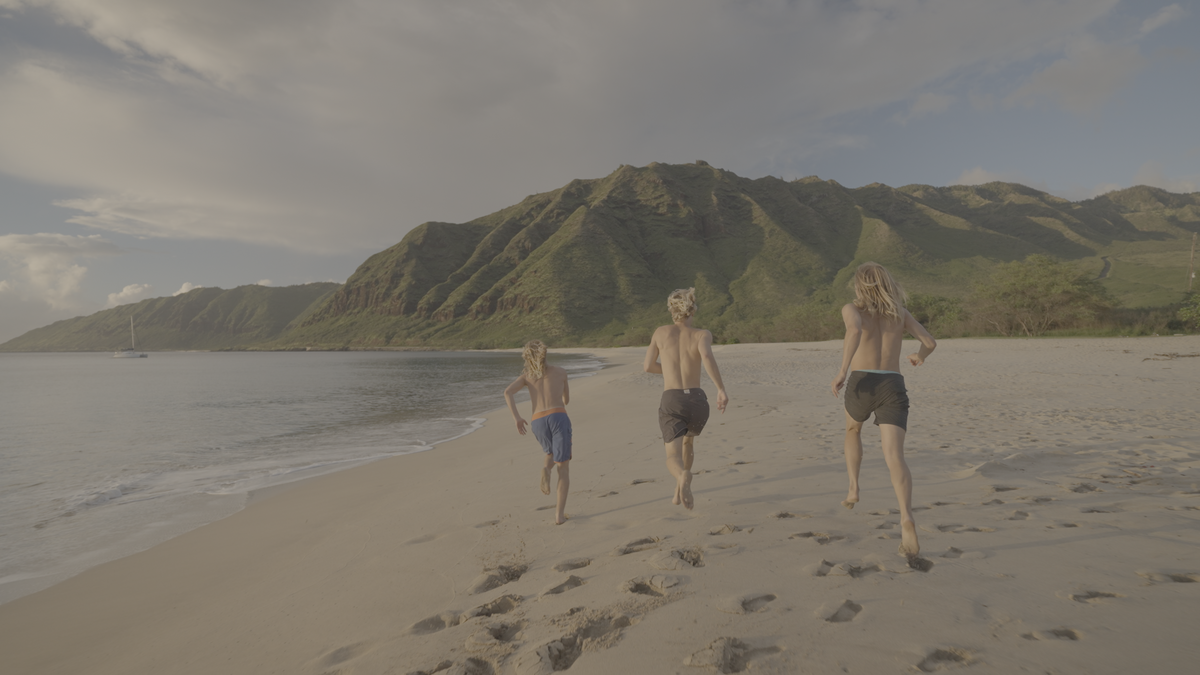 Cinematic LUT Pack – Jaxon Roberts