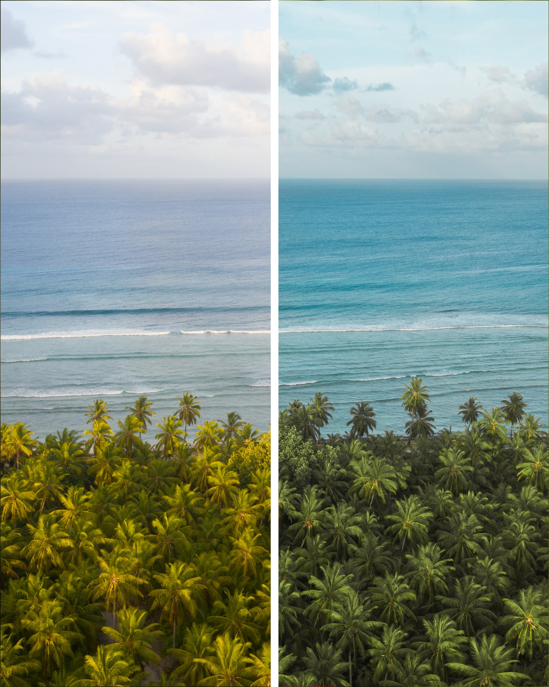 The Complete Collection - Photo Preset pack – Jaxon Roberts